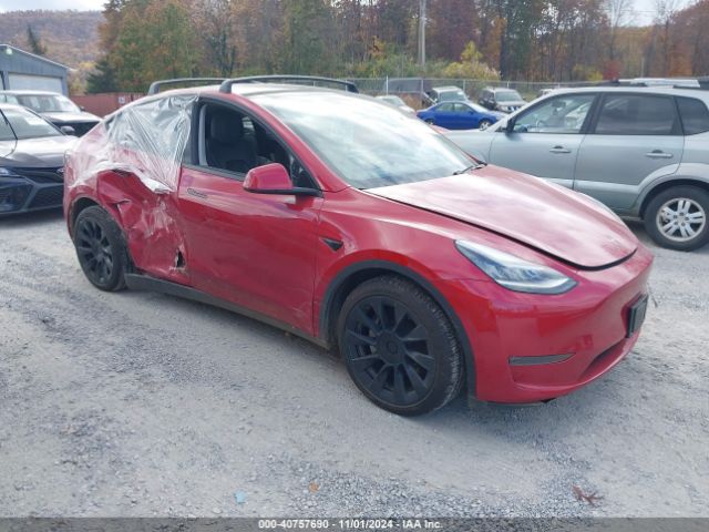 2021 TESLA MODEL Y | AWD Sport Utility