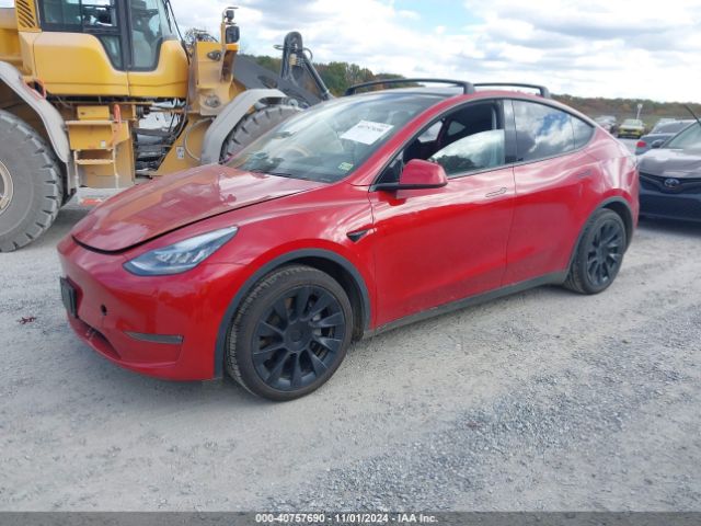 2021 TESLA MODEL Y | AWD Sport Utility
