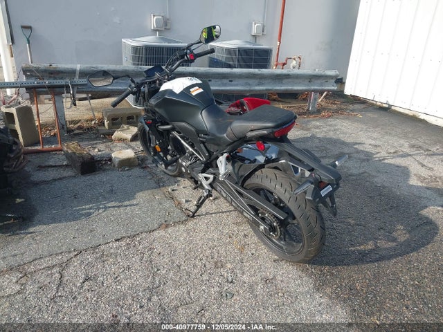 2024 HONDA CBF300 | TRADITIONAL