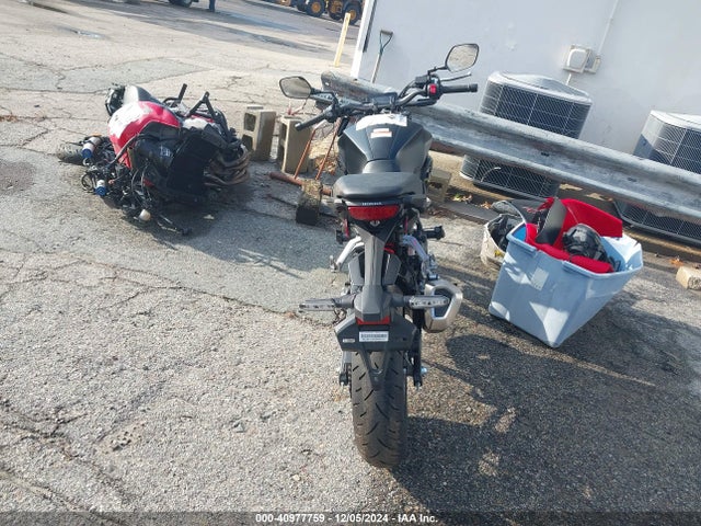 2024 HONDA CBF300 | TRADITIONAL